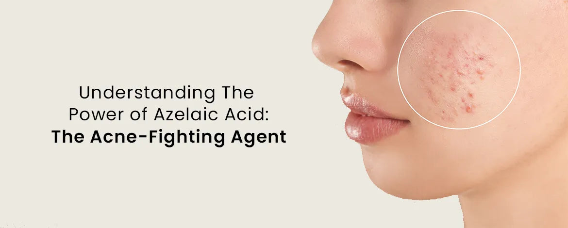 Understanding The Power of Azelaic Acid: The Acne-Fighting Agent ...
